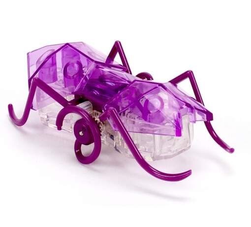 Hexbug Micro Ant robotická hračka fialová | Nay.sk