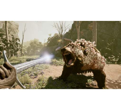 Avowed Standard Edition – Xbox Series X|S / Windows ESD (G7Q-00345) hra ...